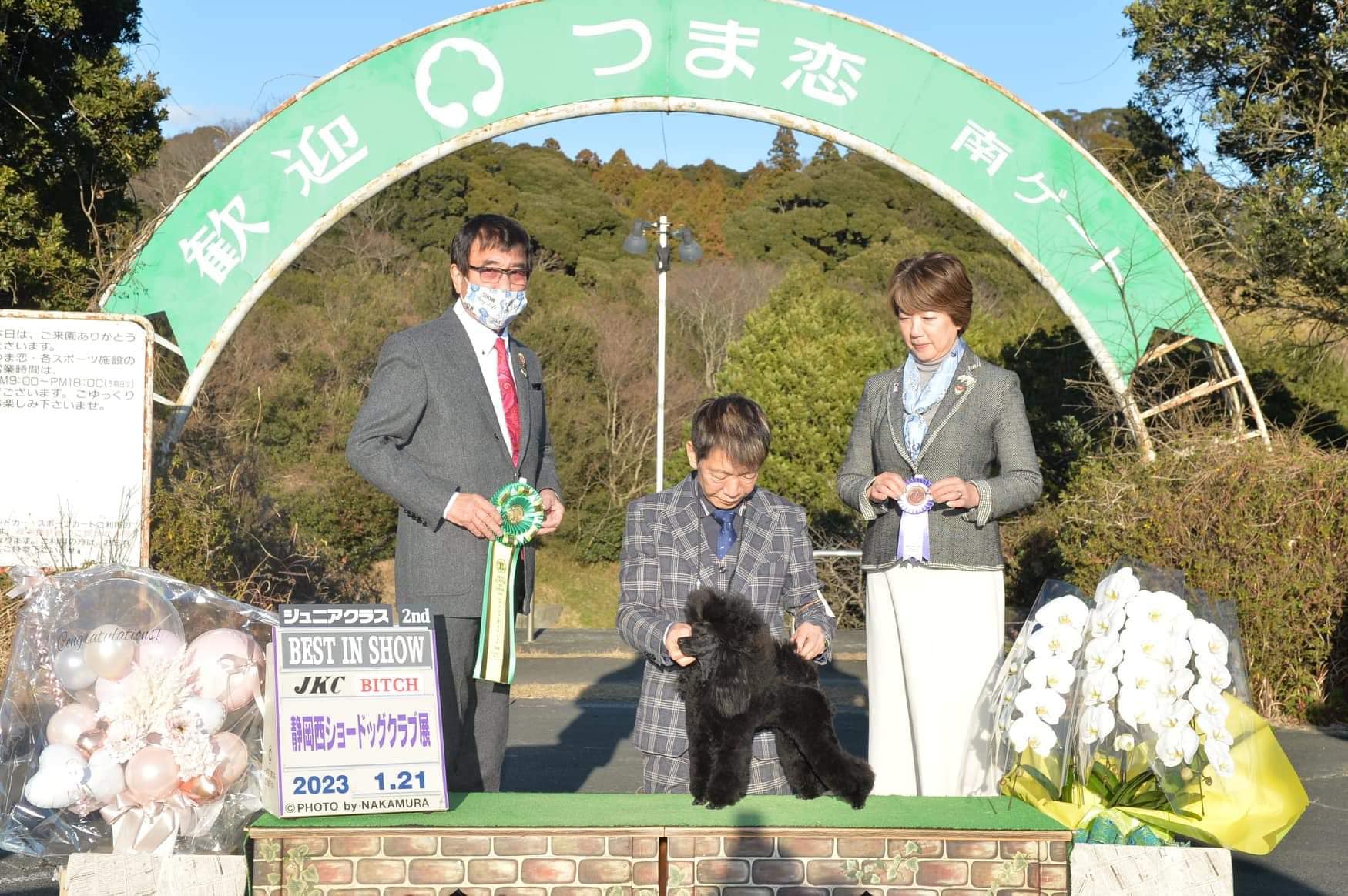 Dog Show – Smash Poodles